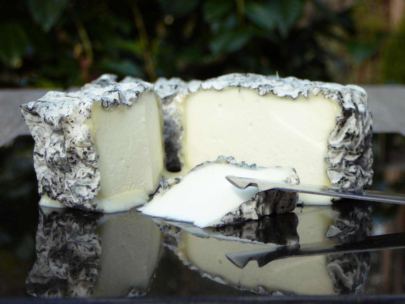 Red Hill Sheep Dairy: Gippsland Food and Wine