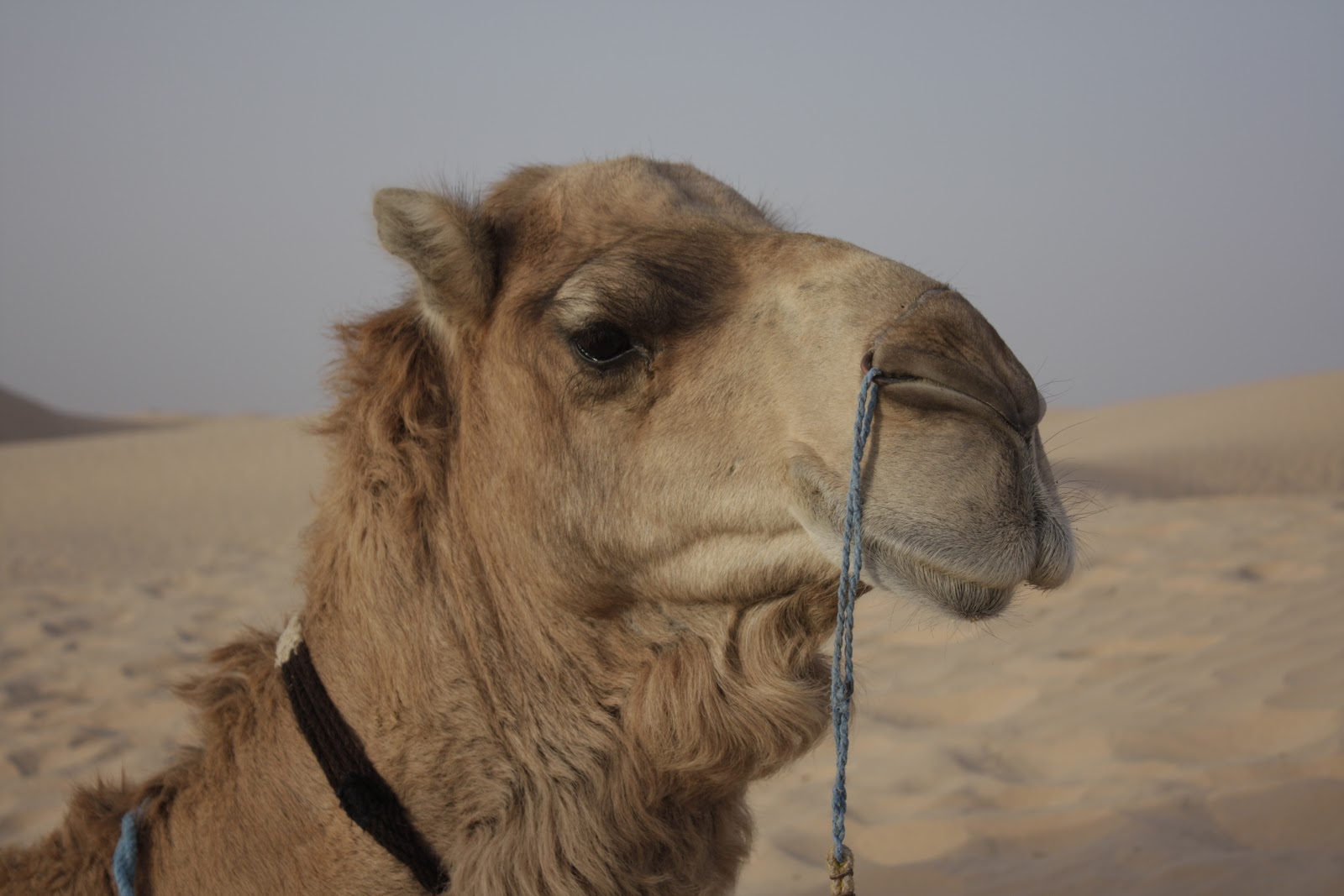 ooluenajiam: huhtikuuta 2013