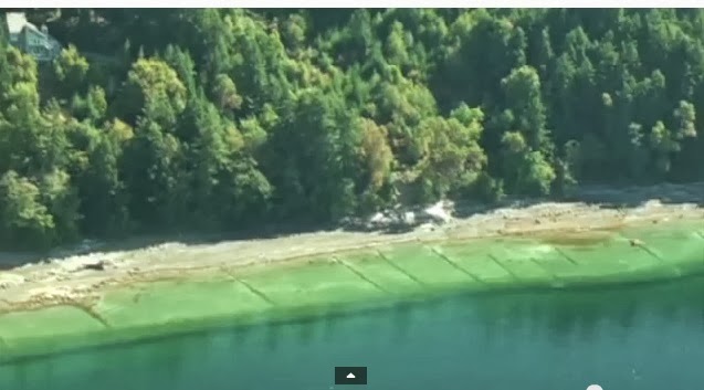 Protect Our Shoreline News: Friends of Baynes Sound, BC: Aquaculture ...