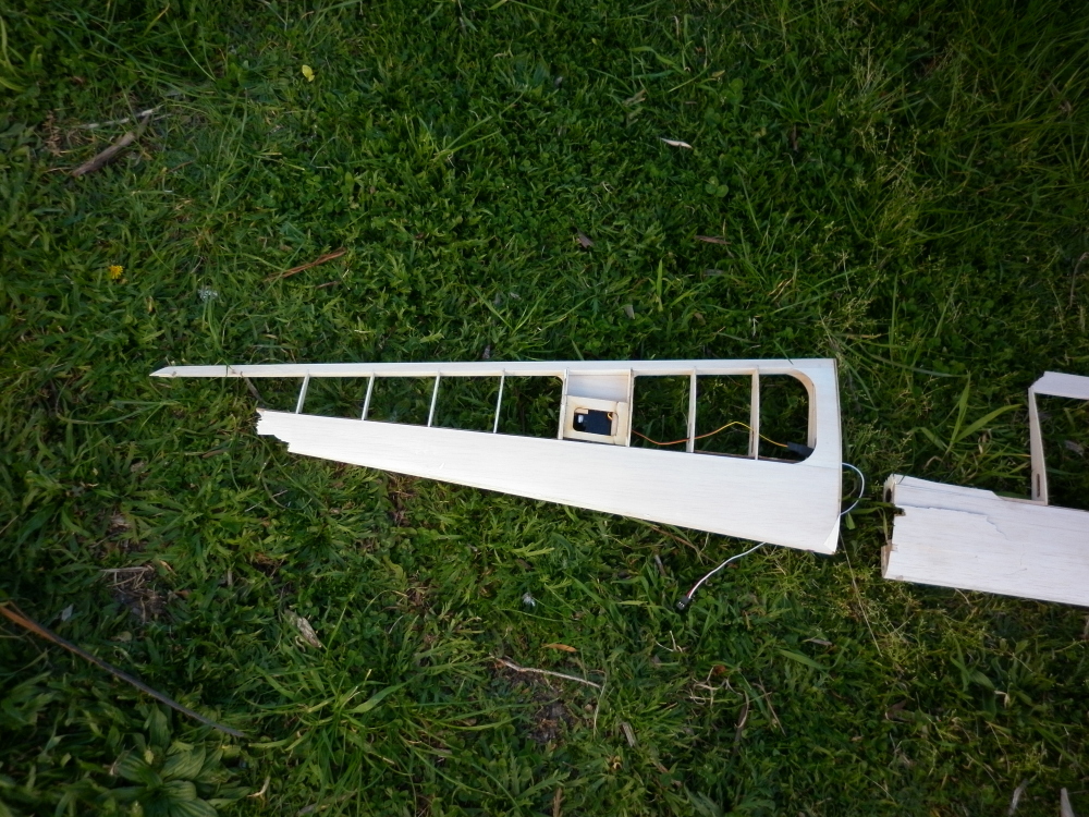 Wings N' Flying Things: Bird of Time