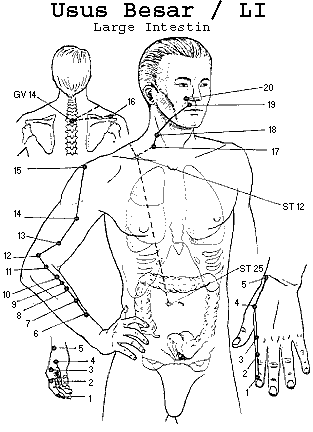 Meridian dan Titik Akupunktur : Usus Besar/Large Intesitine (LI) - Hand ...