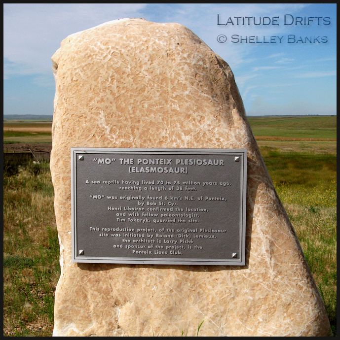 Prairie Nature: Ponteix, Sask: Beware — Massive Sea Reptile