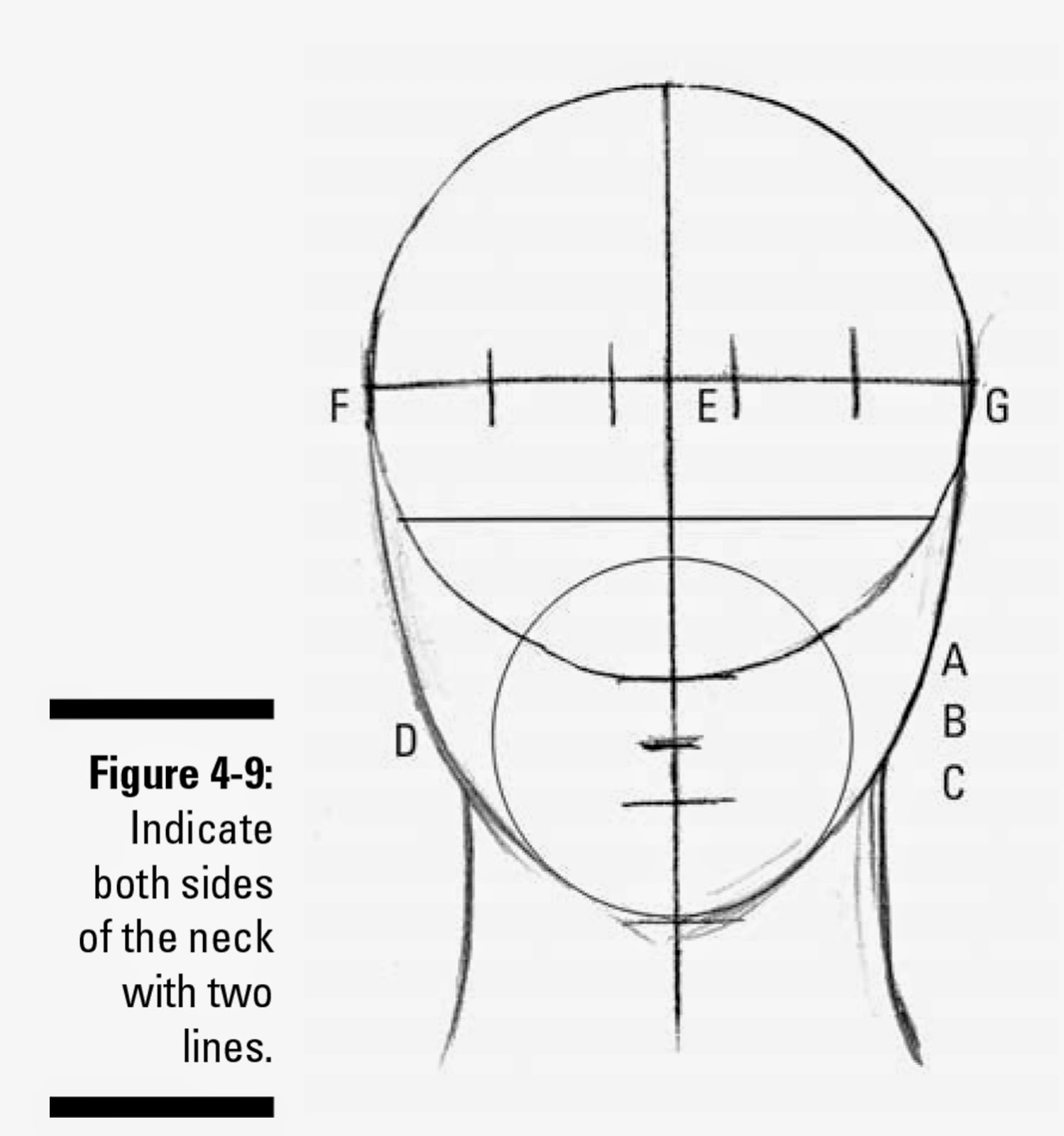 Drawings: Parts of the Head
