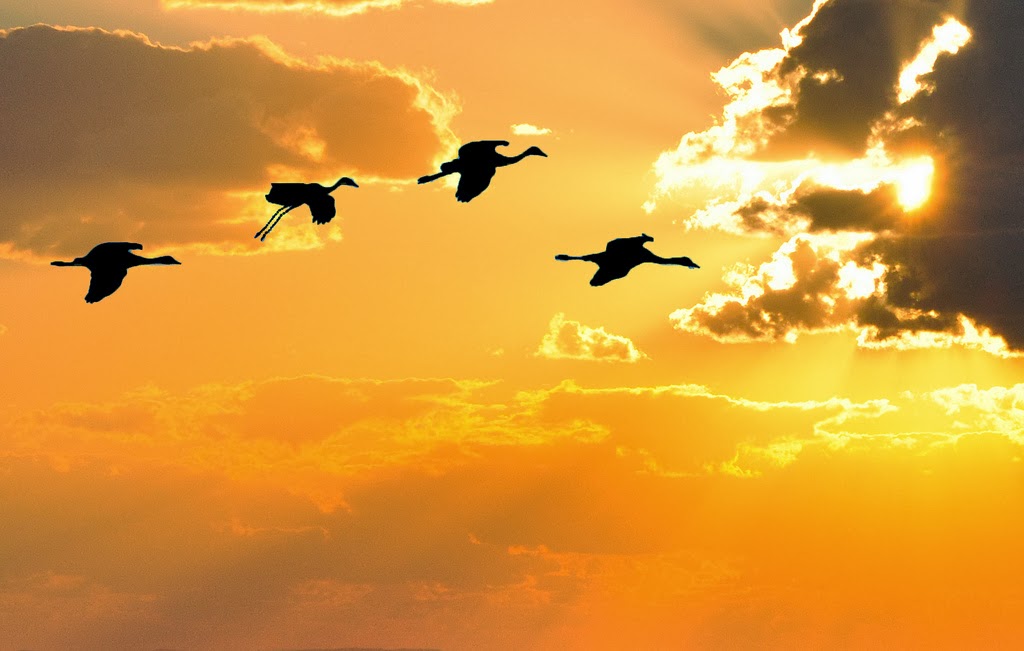 School Of Digital Photography: 22 Tips for Photographing Stunning Seascapes