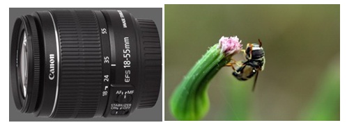 Pengertian, Macam dan Jenis Lensa Kamera + Contohnya | Ida Ayu K.A