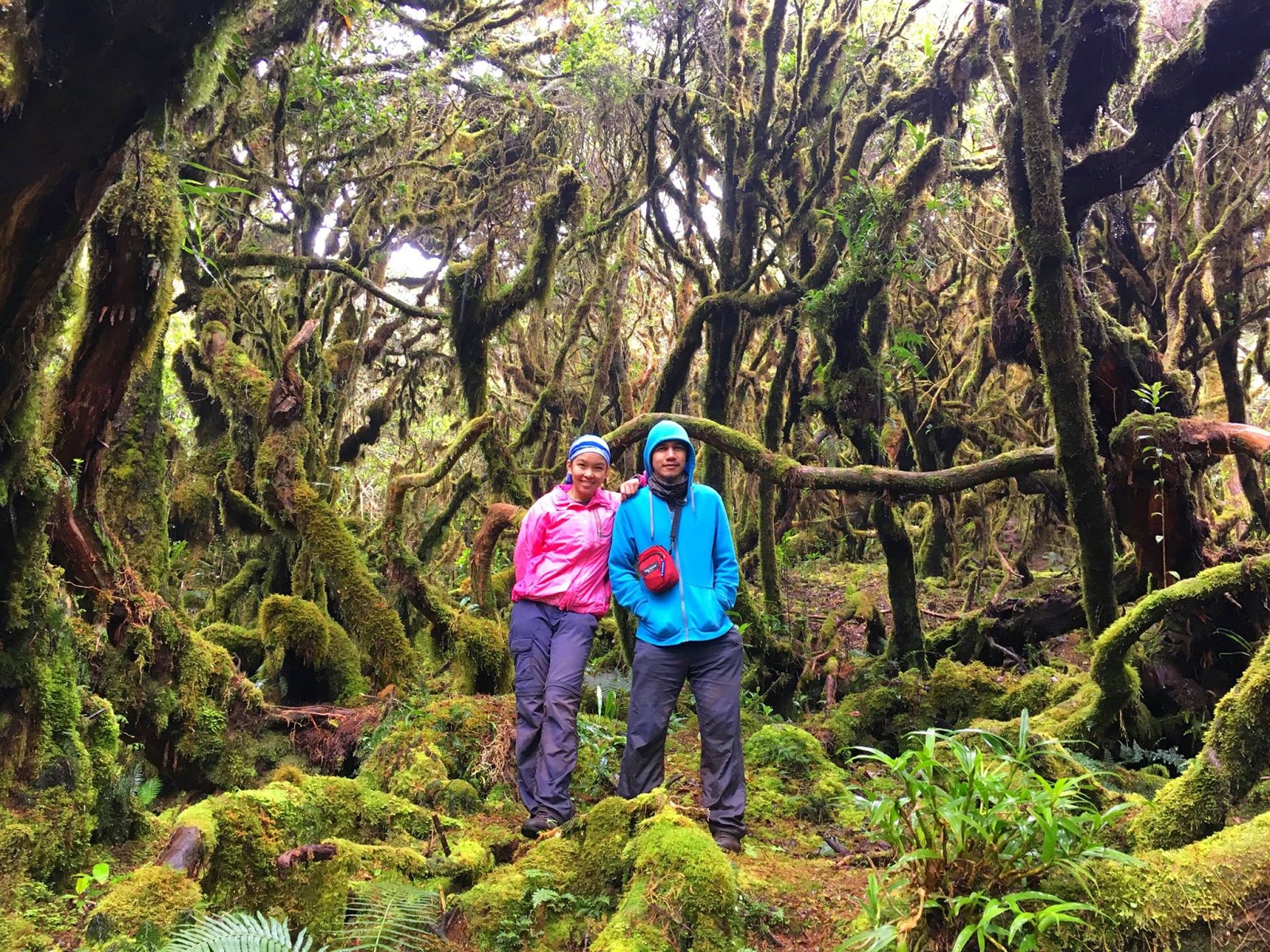 Kitanglad - Dulang-dulang Traverse (K2D) - Life is so full of tae!