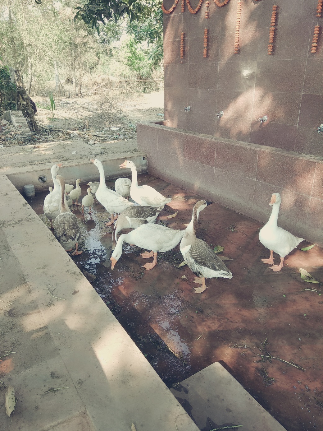 The Places around Cuttack (Katak), Odisha: Paramahansanath Temple and ...