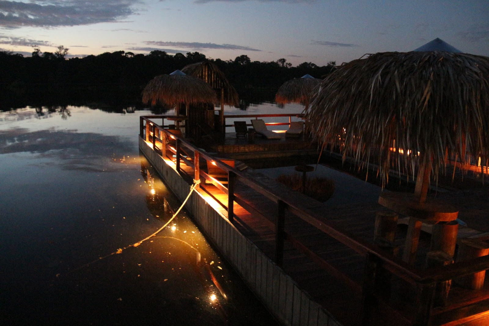 Juma Amazon Lodge: a primeira vez na Floresta Amazônica a gente nunca ...