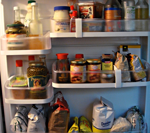 Random Refrigerator Views No. 43