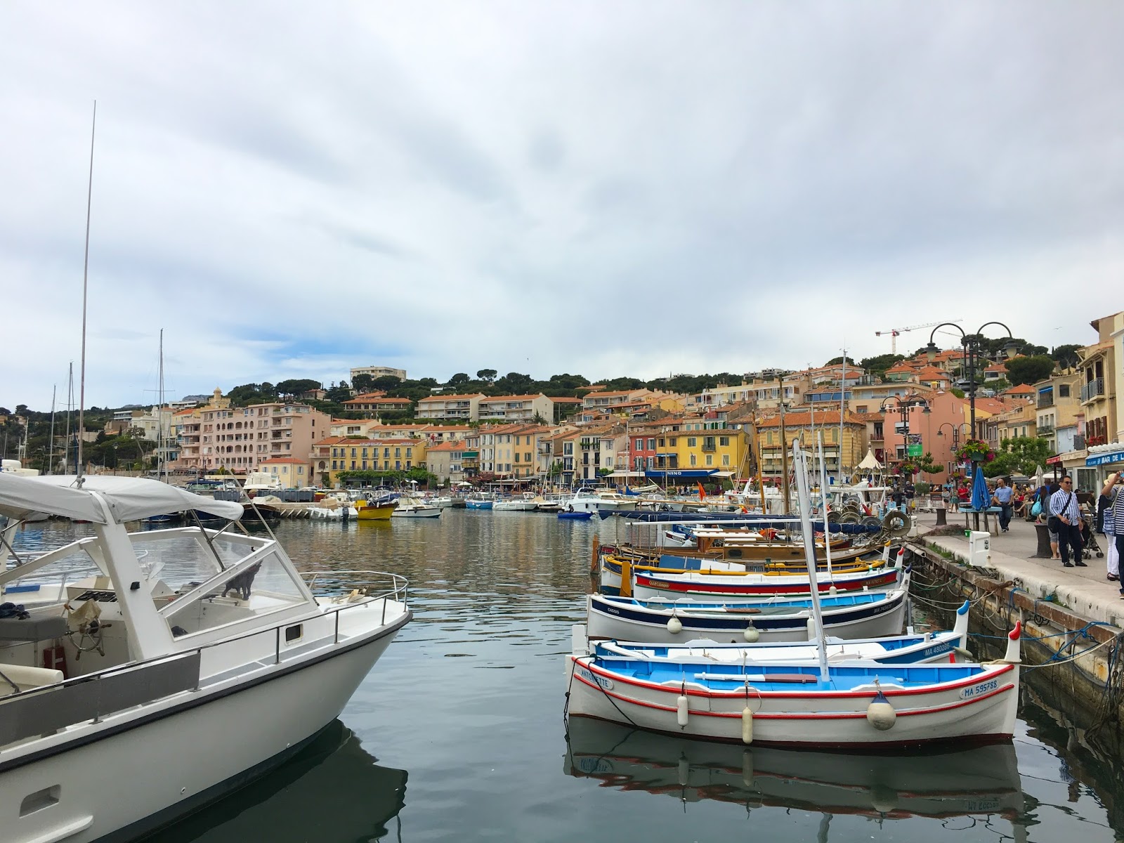 The Curious Lark: Exploring Cassis
