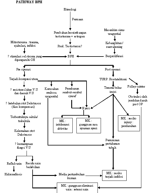 NURSE (Nonstop, Unsatisfied, Responsive, Skilled, Empathy): PATHWAY BPH ...