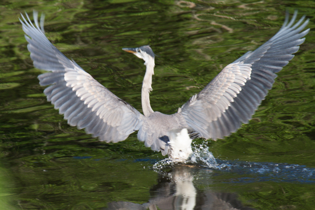 JOHN ARES PRESENTATIONS