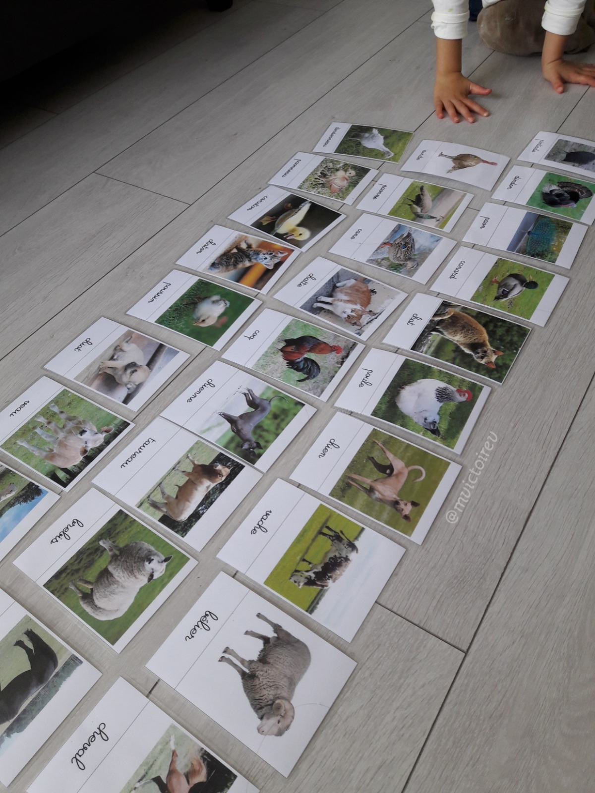 Maman dans les nuages: Cartes de nomenclature des animaux de la ferme ...