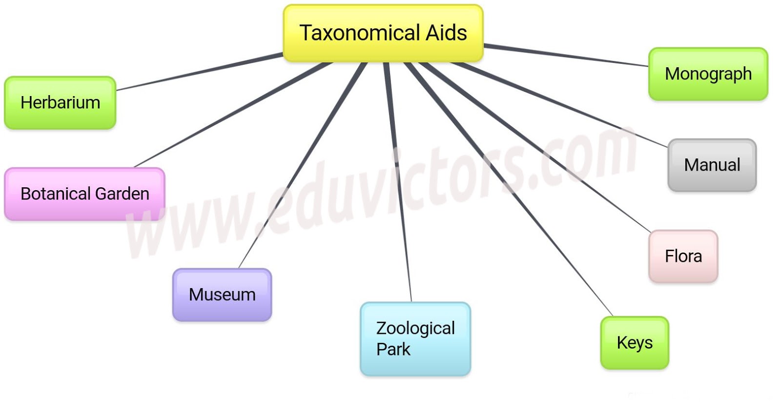 CBSE Papers, Questions, Answers, MCQ ...: CBSE Class 11 - Biology - The ...
