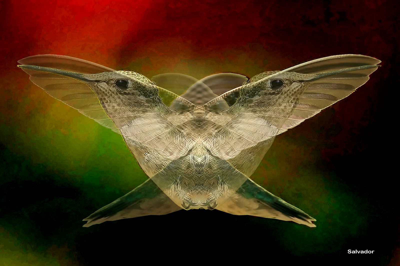 IMAGEN: Composición por diseño y equilibrio simétrico.