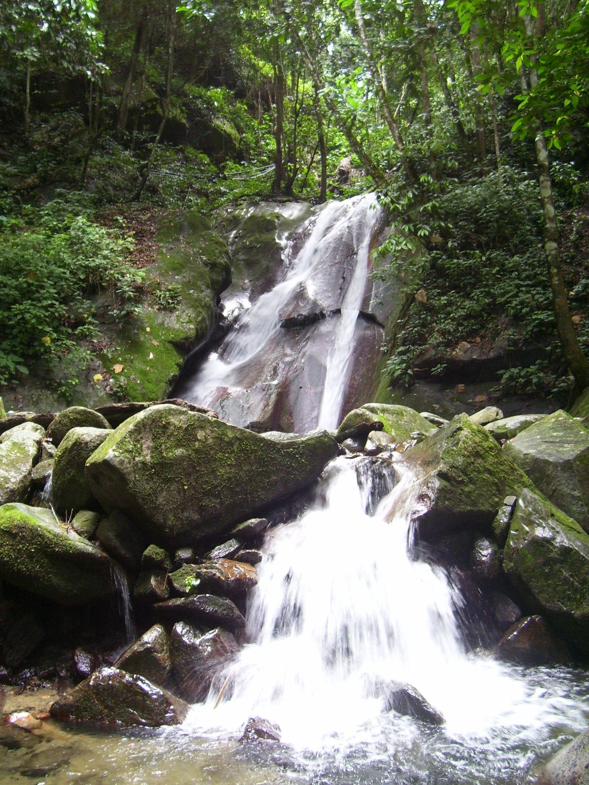 Fun N Delicious : Fun @ Kinabalu Park, Sabah