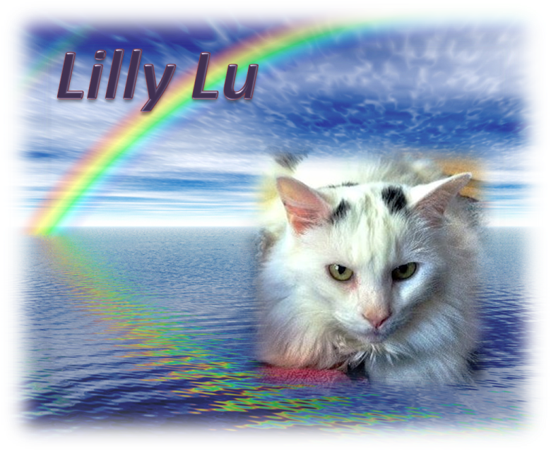 Lilly Lu Iris, Callie Rose , Maxie and Mikey Tell all.