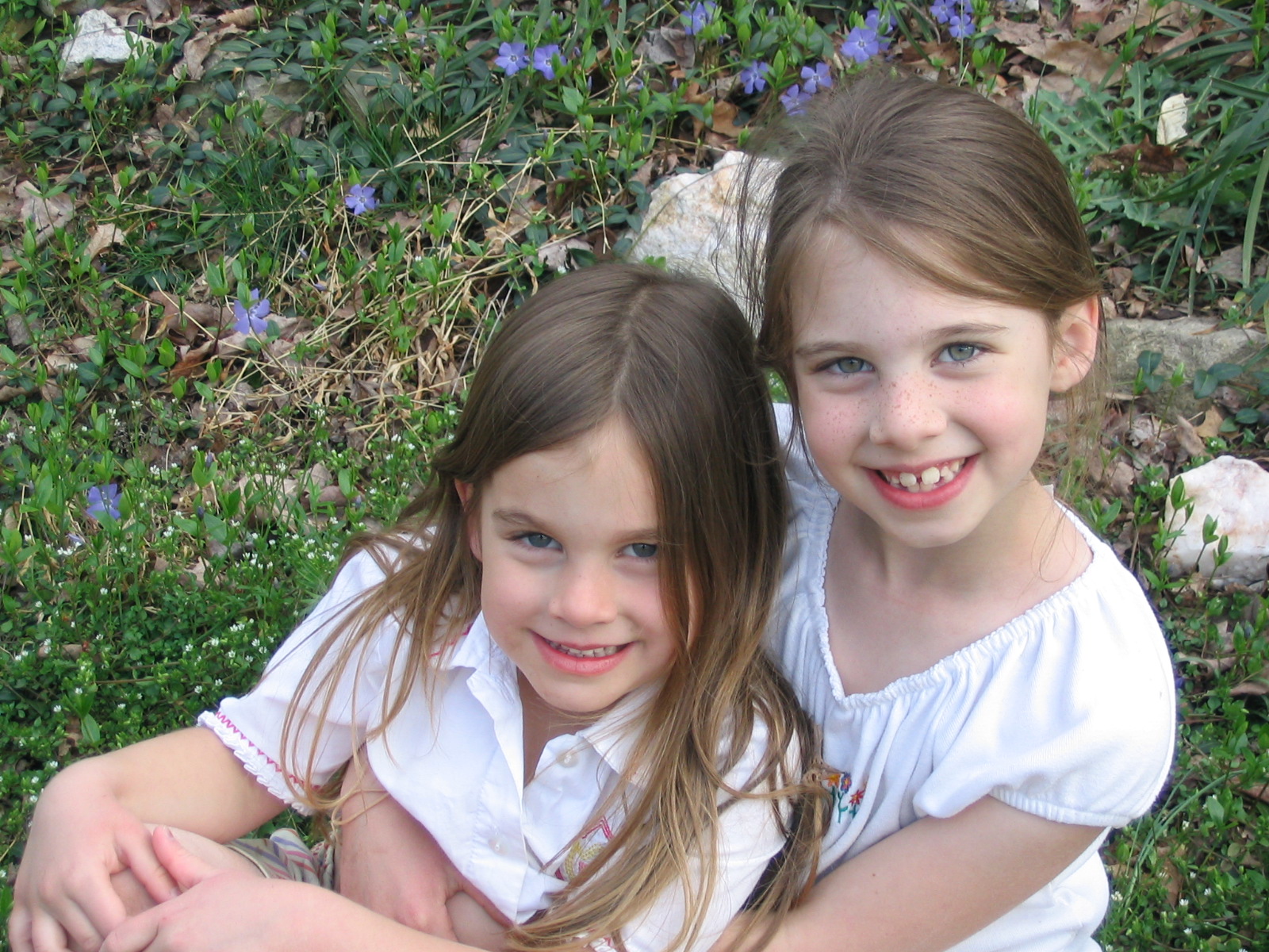 A Lesson Learned too Late