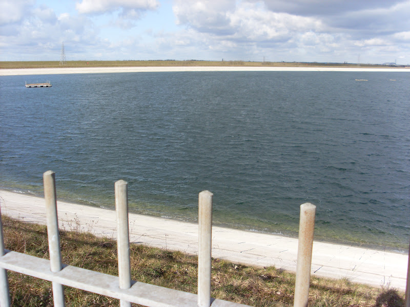 Samuel Birding: Staines Reservoir (19th February)