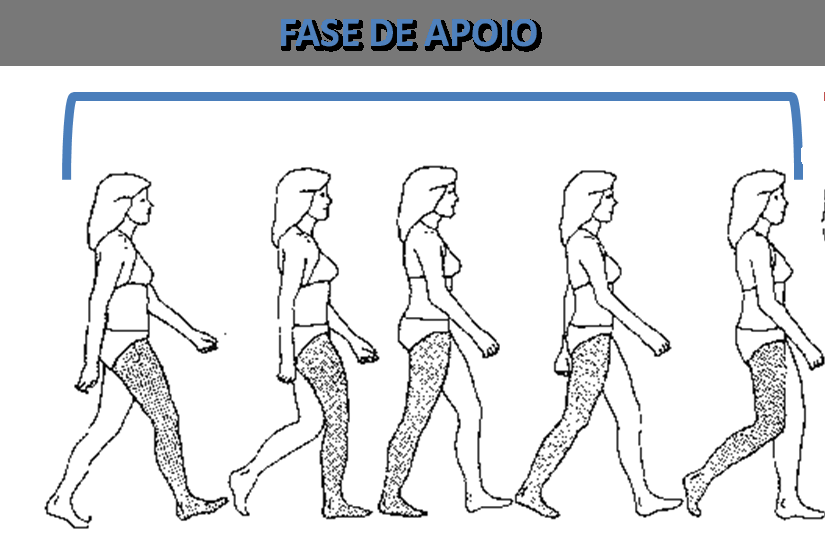 Cinesiologia: ANÁLISE DA MARCHA HUMANA