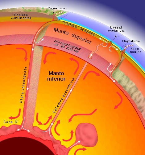 Biologia 1: Causas del movimiento de las placas y El ciclo de Wilson