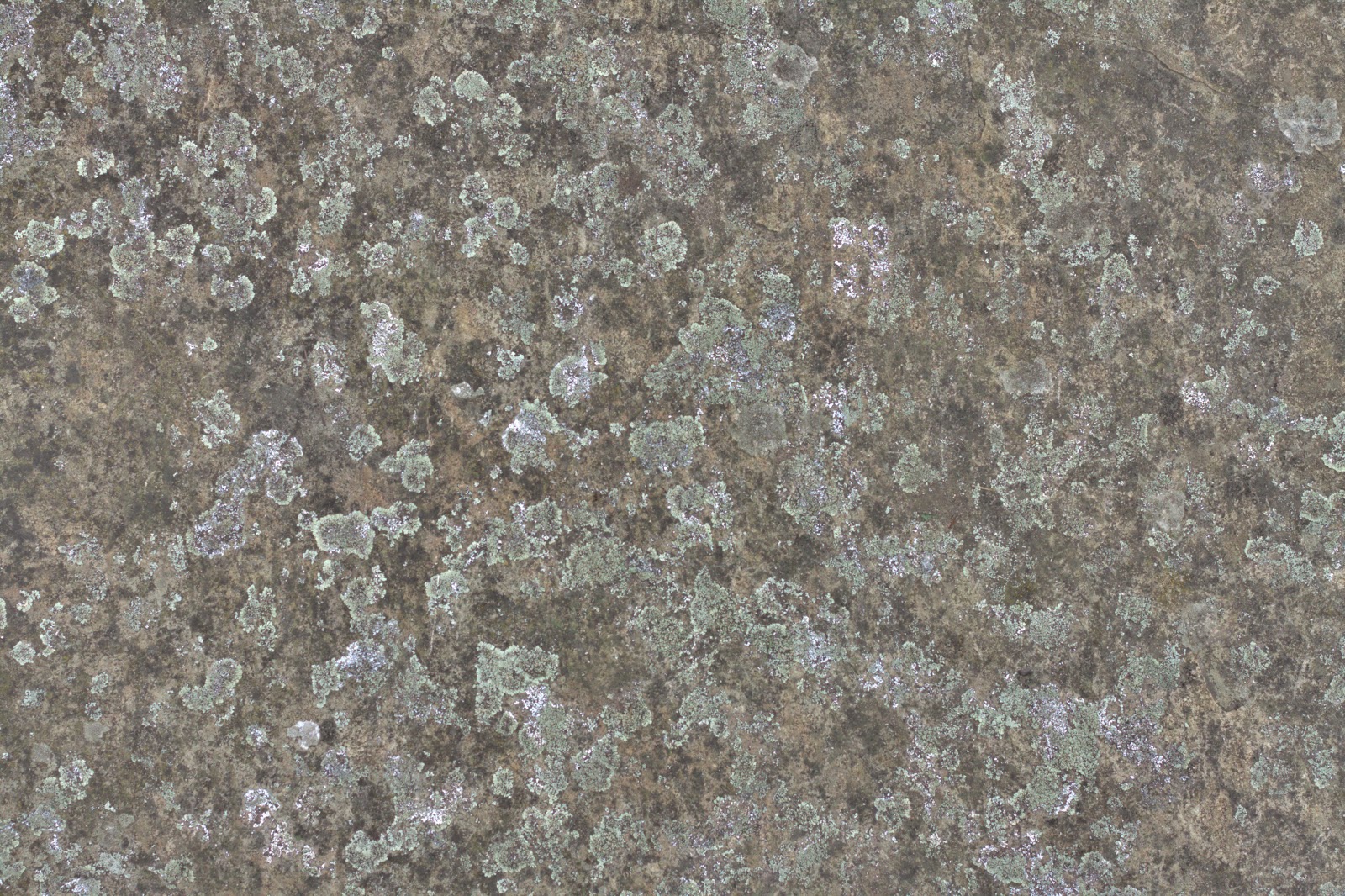 HIGH RESOLUTION TEXTURES Stone 9 Moss Covered Stone Texture 4770x3178 high-resolution-textures-stone-9-moss-covered-stone-texture-4770x3178