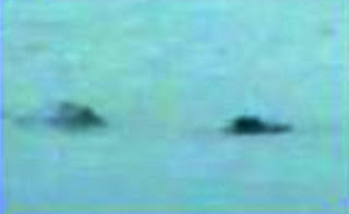 Beasts of Britain: LAND OF THE AFANC