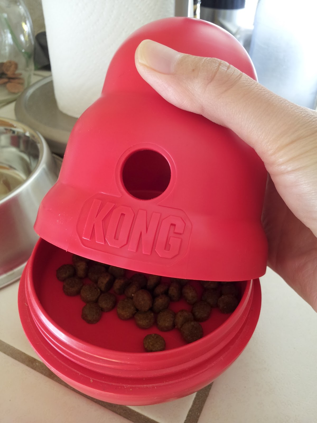 KONG TOY - 全世界口碑最好的宠物玩具（天然橡胶，无毒，耐咬） - 直播买卖 - 佳礼资讯网