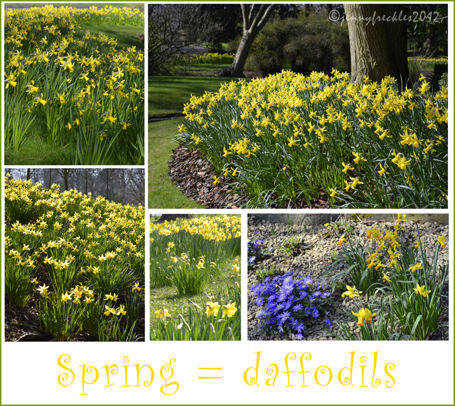 Saltaire Daily Photo: March 2012