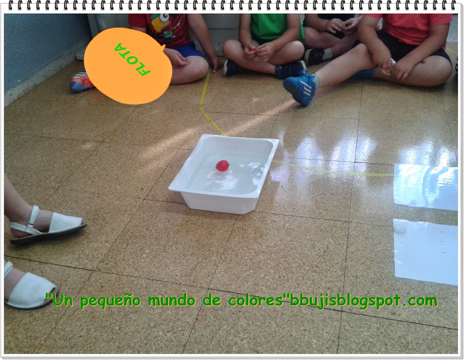 UN PEQUEÑO MUNDO DE COLORES: Experimentamos: ¿Flota o se hunde?