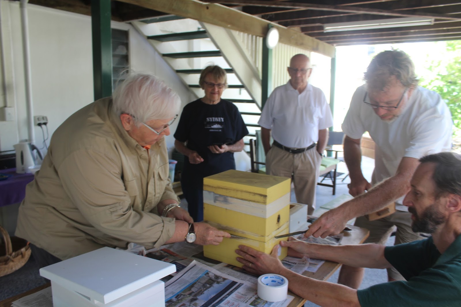 Gold Coast Native Bee Services: Services