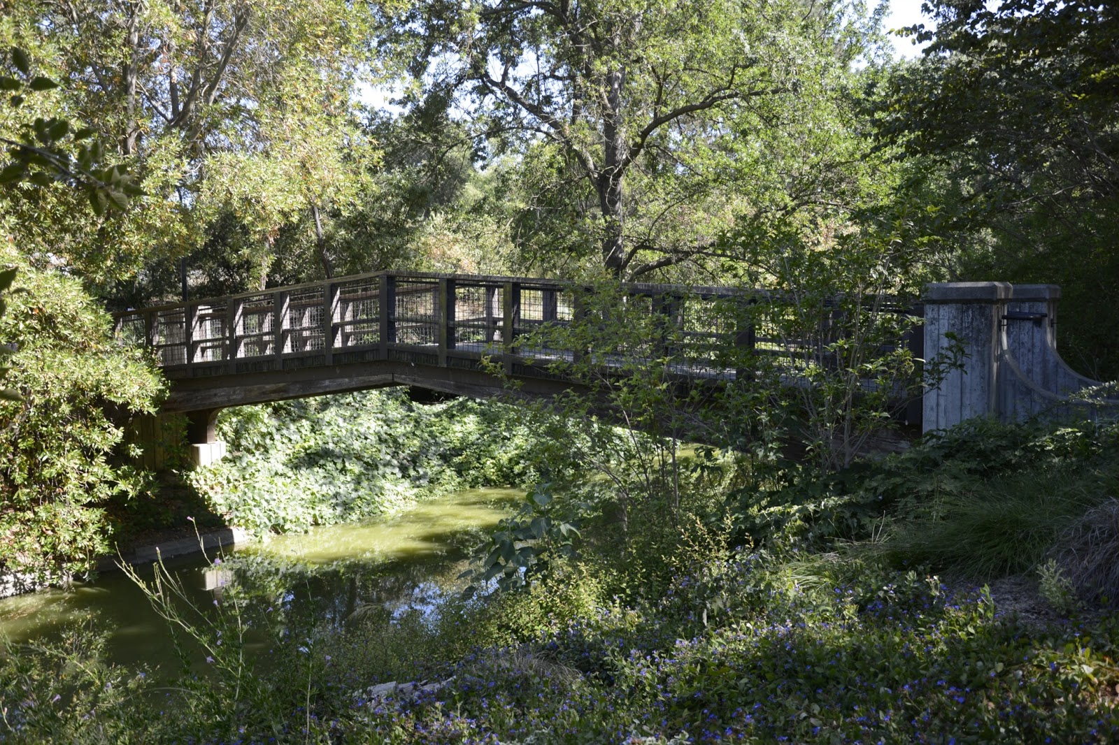 Bridge of the Week: Yolo County, California Bridges: UC Davis ...