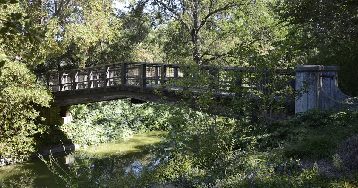 Bridge of the Week: Yolo County, California Bridges: UC Davis ...