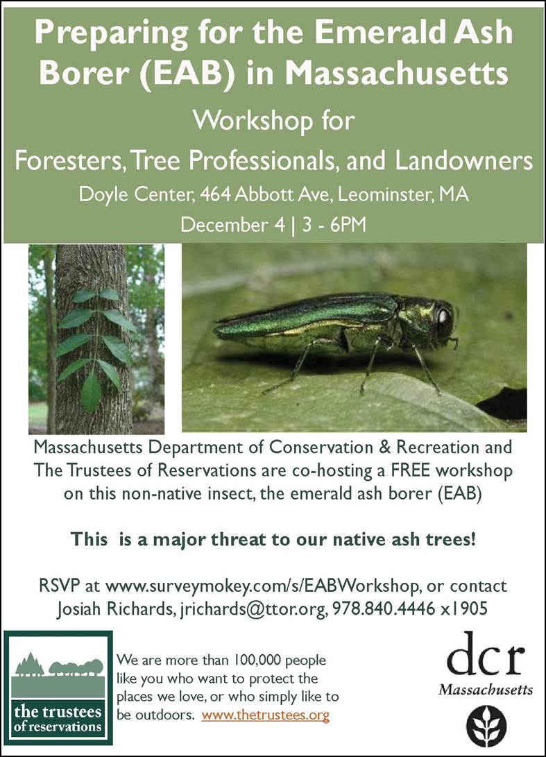 On the Land: Workshop - Preparing for the Emerald Ash Borer