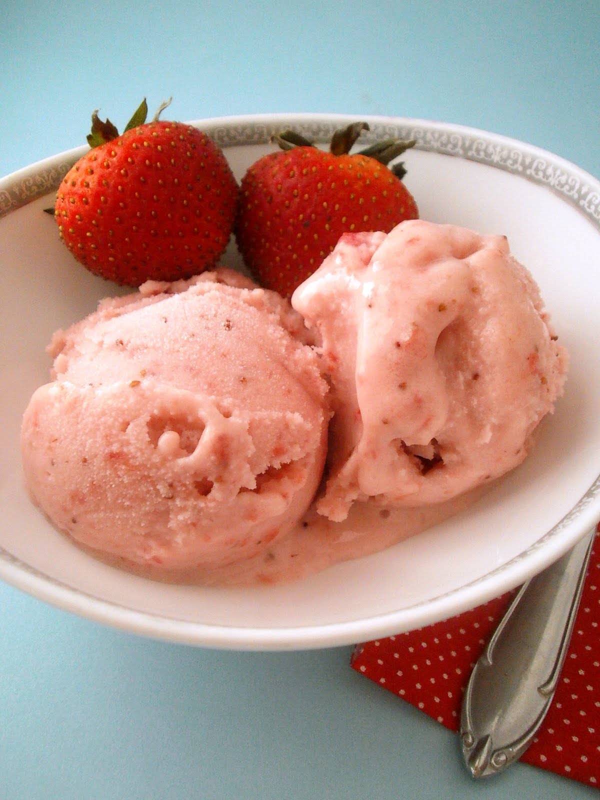 The Busty Baker: Strawberry Fro-Yo Throwdown