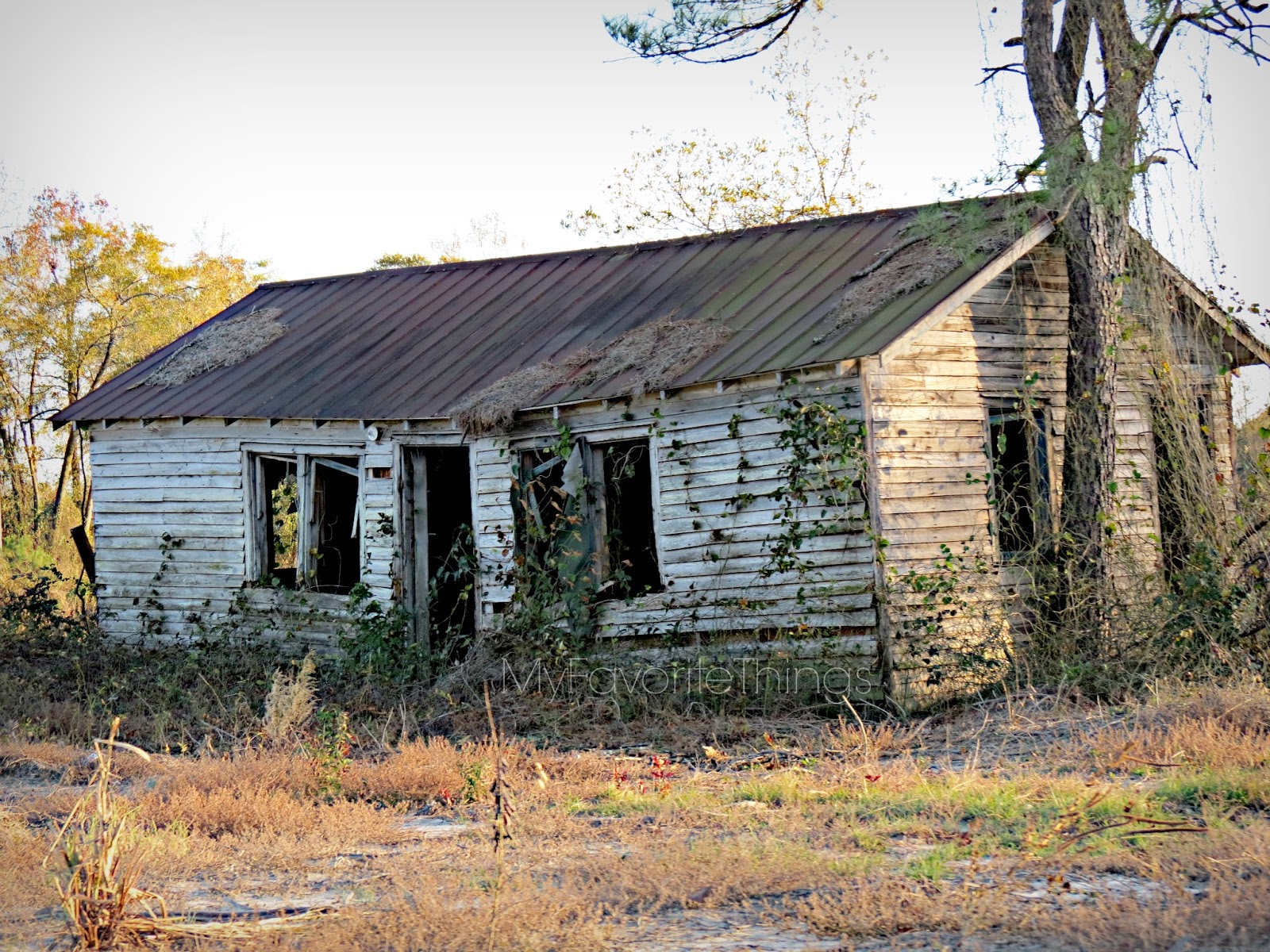 My Favorite Things: Dilapidated and Decrepit