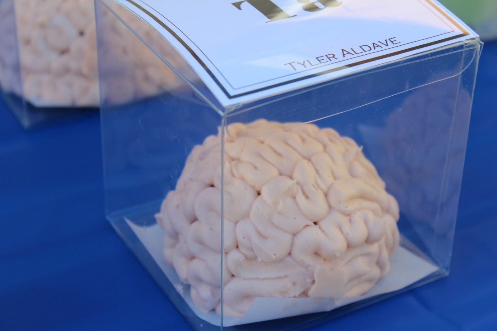 FLOUR & SUGAR: Mad Scientist Party