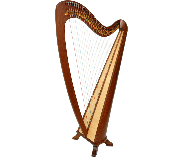 Hafiz Mohammad Junaid: 34 Strings Harps