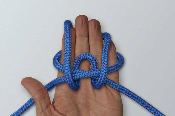 Alpine Butterfly Loop