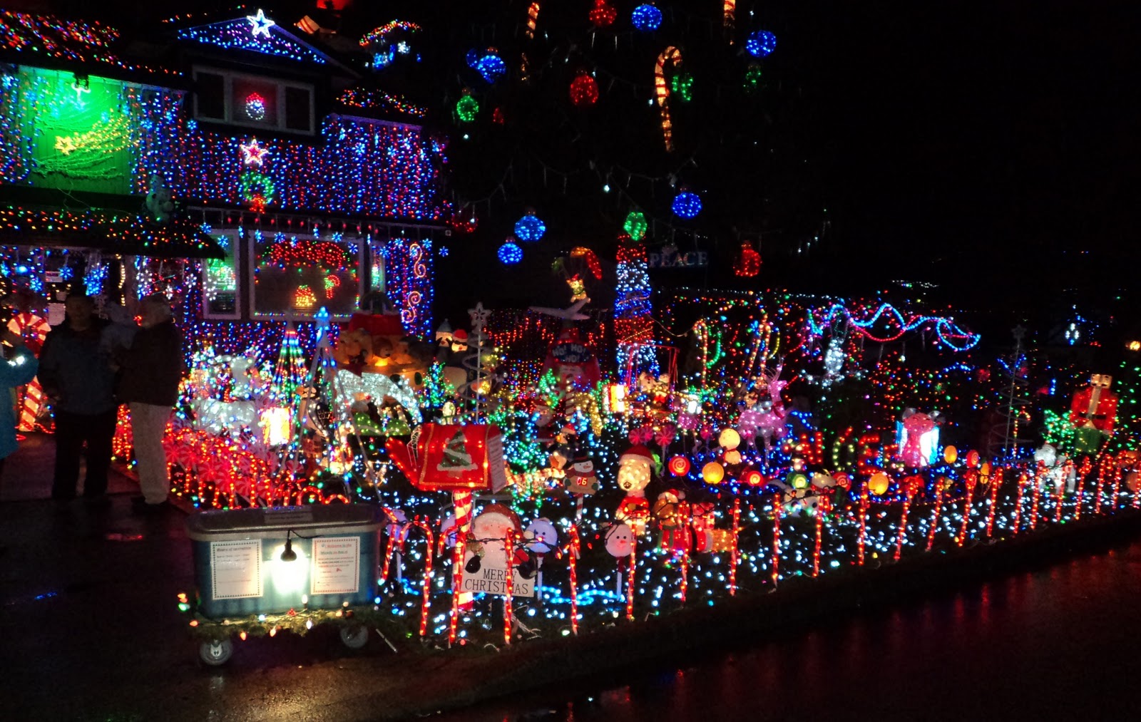 The Glass Character: Miracle on Rae Street