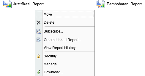 Edit In Report Builder Not Showing In SSRS