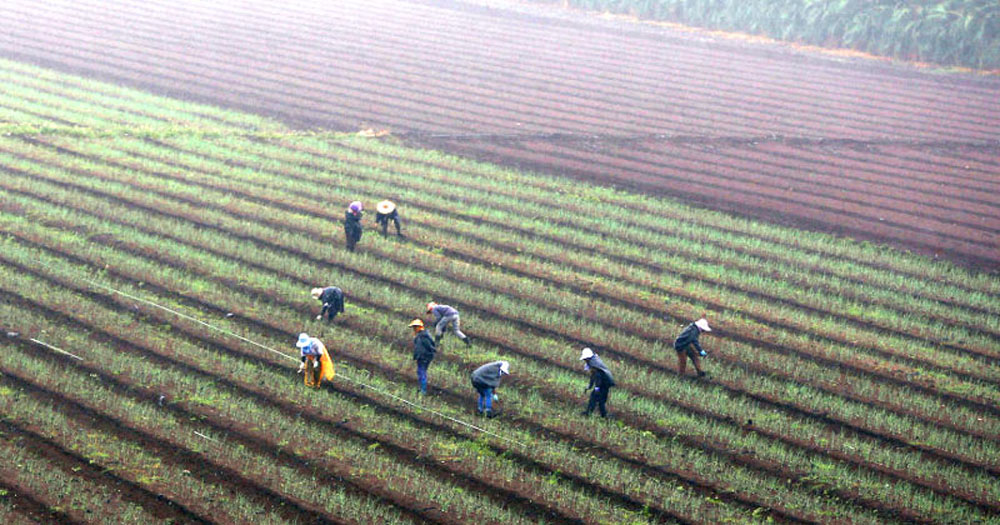 Honouliuli Ewa Traditional Cultural Properties: Ewa Farm Land ...