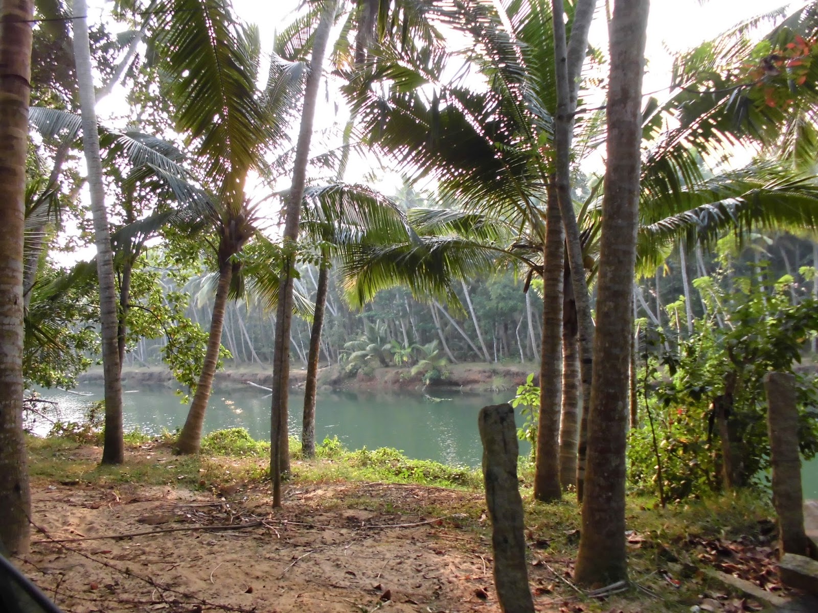 Sanatana Dharma: Sasthalaya Sevanam - A Kiratha Sastha Temple at Nagarcoil