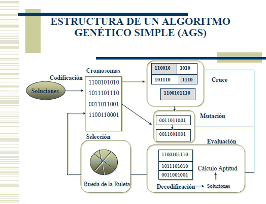 Algoritmos geneticos