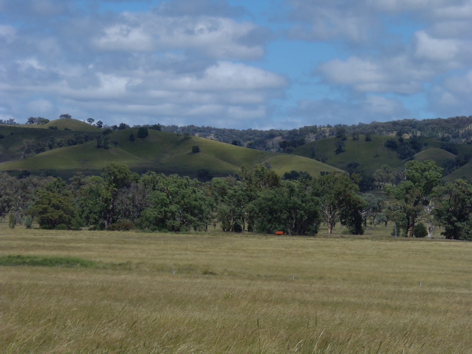 Solo Steve On The Road: BINGARA to MANILLA via BARRABA NSW