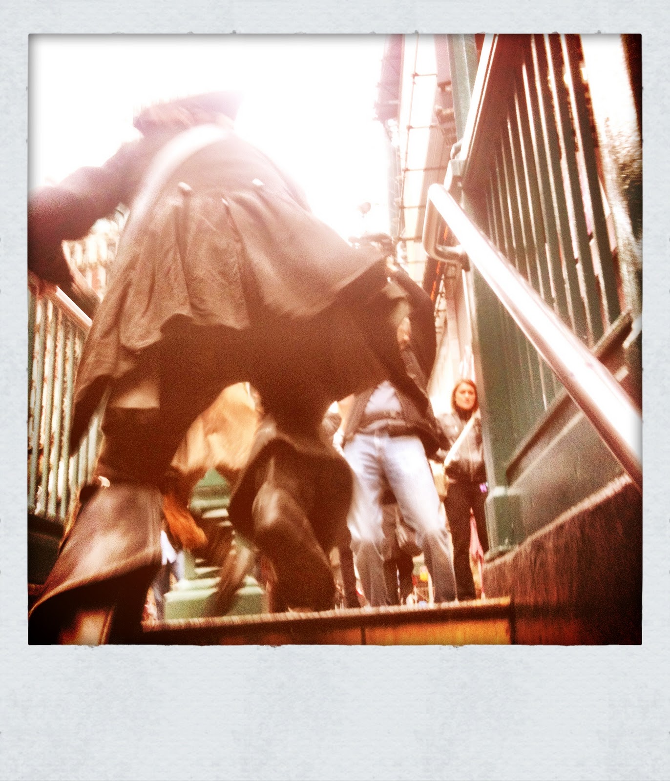 { mi vida en fotos }