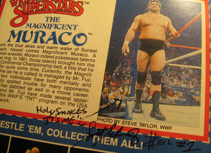 J\/\/s Wrestling Memorabilia: The Saga of Scott Schwartz & The LJN Don ...