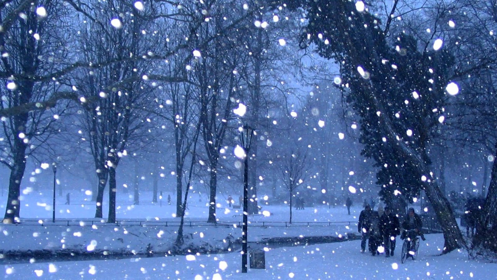 Barends Blik: Leise rieselt der Schnee