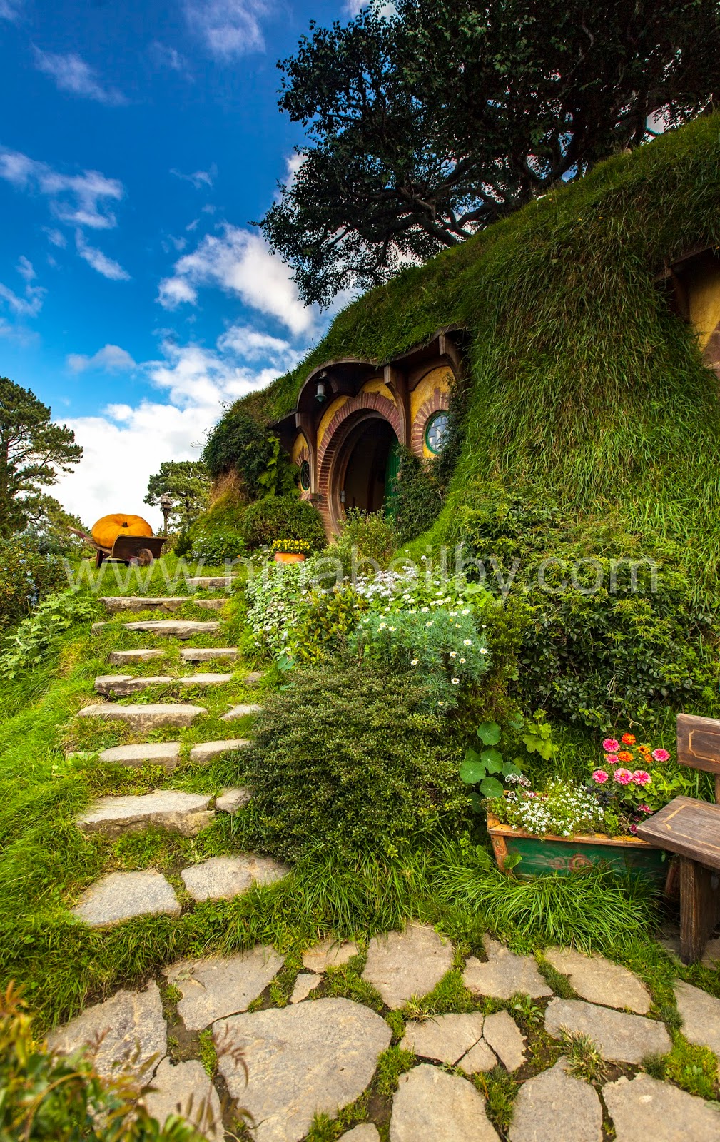 Hobbiton Movie Set Tour - A Definite New Zealand Must Do