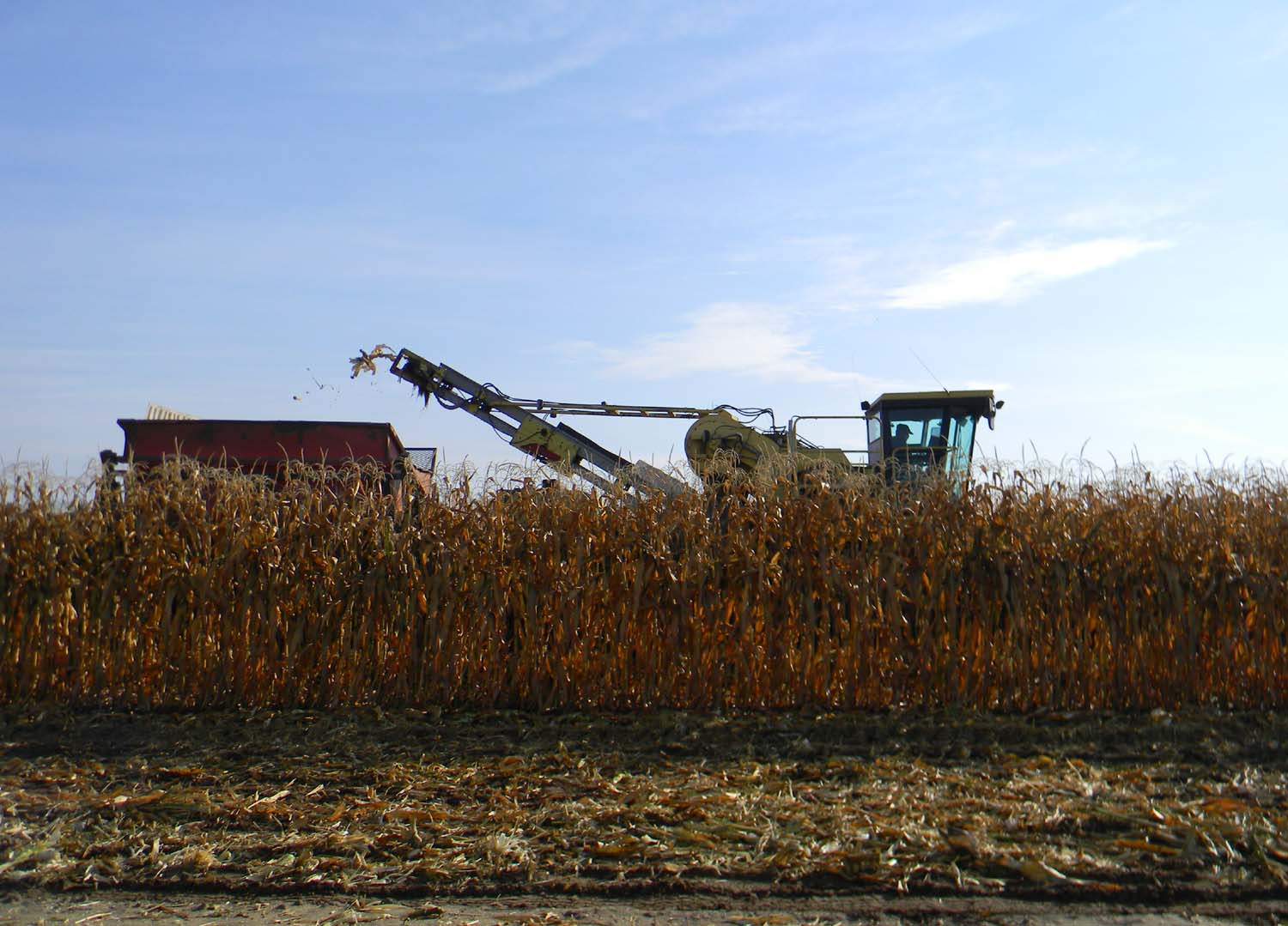 Owyhee Agriculture: Picking Corn